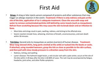 Lesson plan pioneering | PPT