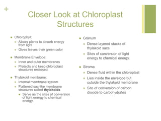 Lesson plan powerpoint | PPTX