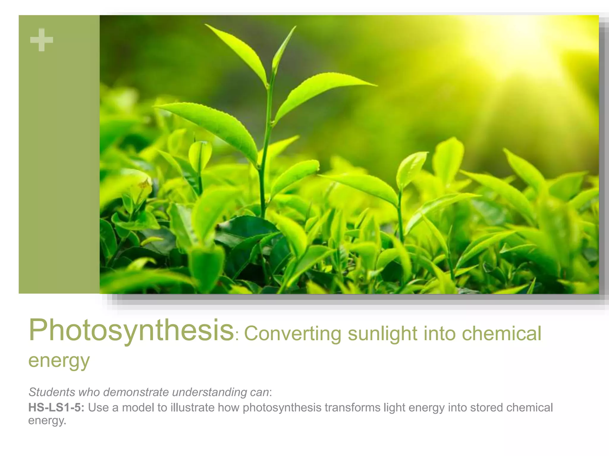 Photosynthesis Lecture for Lesson 1 | PPTX