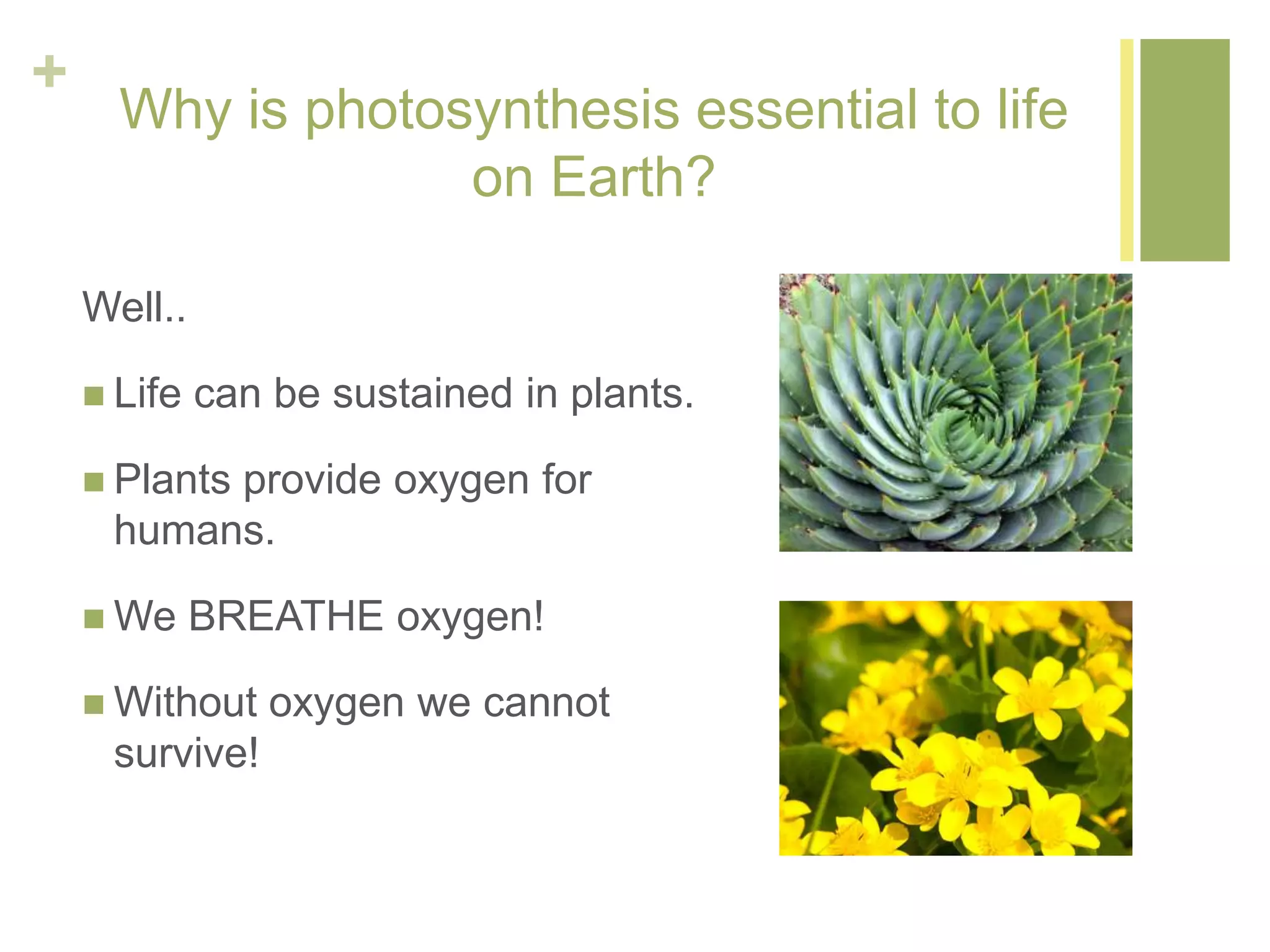 Lesson plan powerpoint upload | PPTX