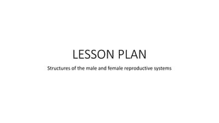 LESSON PLAN Presentation.pptx
