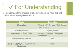 Lesson Plan Revised | PPTX | Biological Sciences | Science