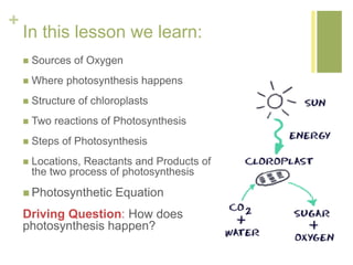 Lesson Plan Revised | PPTX | Biological Sciences | Science
