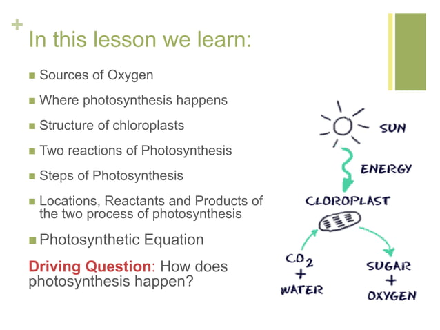 Lesson Plan Revised | PPT