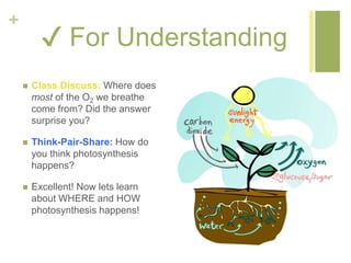 Lesson Plan Revised | PPTX | Biological Sciences | Science