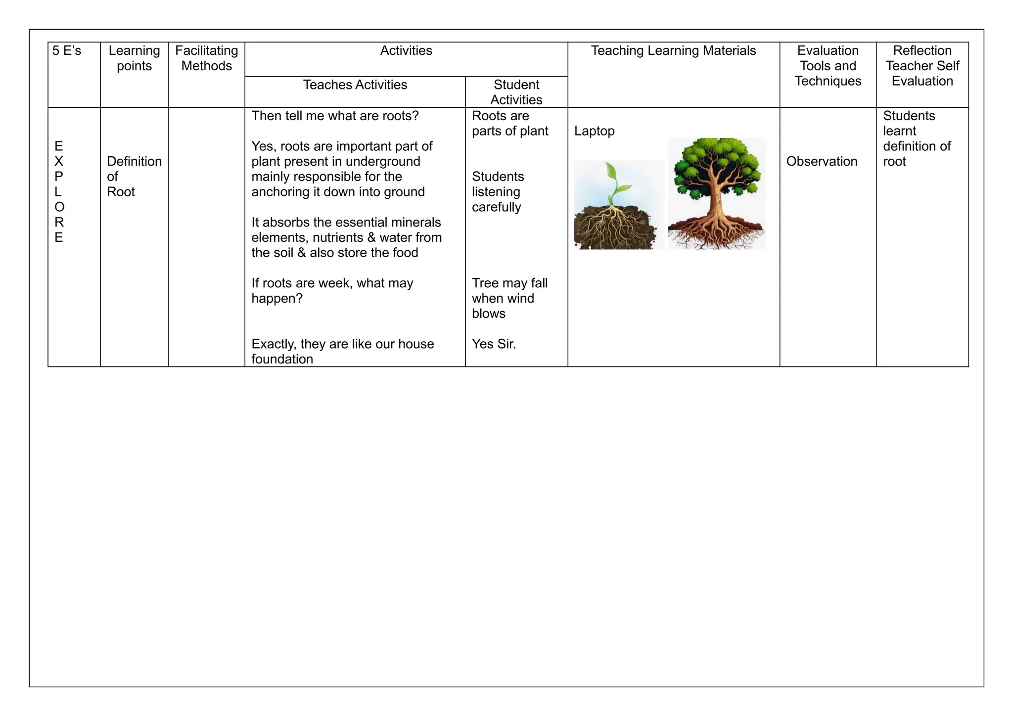 5E Lesson Plan - Root, definition, types of rotos | PPT