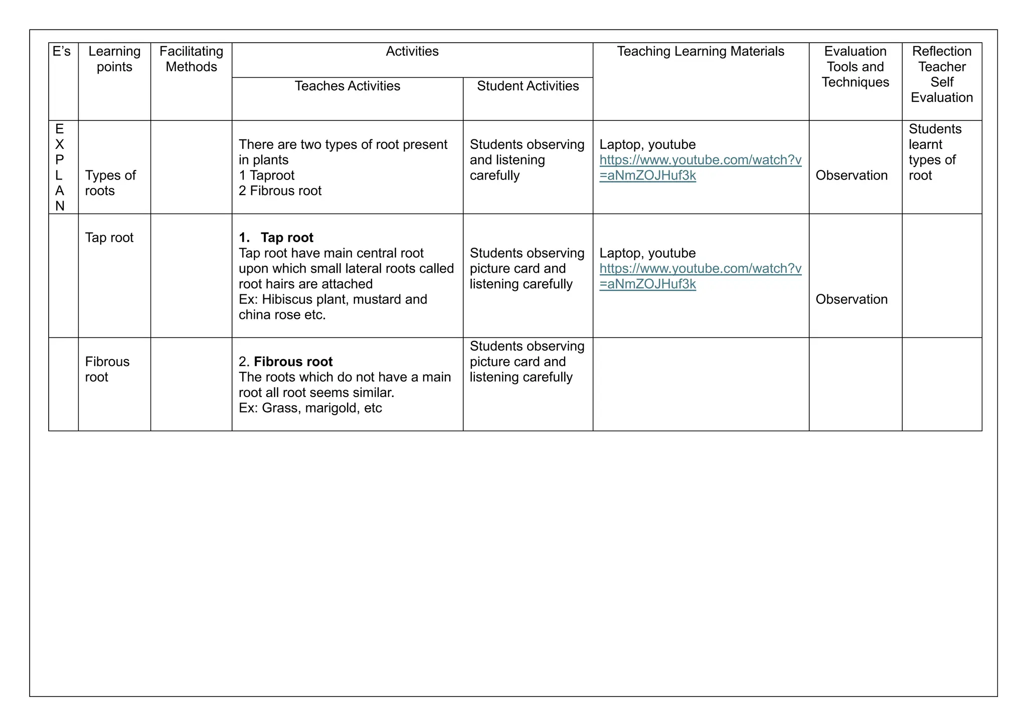 5E Lesson Plan - Root, definition, types of rotos | PPT
