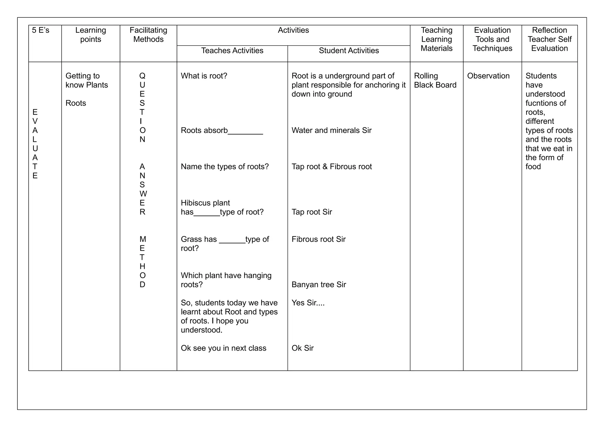5E Lesson Plan - Root, definition, types of rotos | PPT
