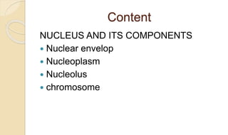 NUCLEUS | PPT