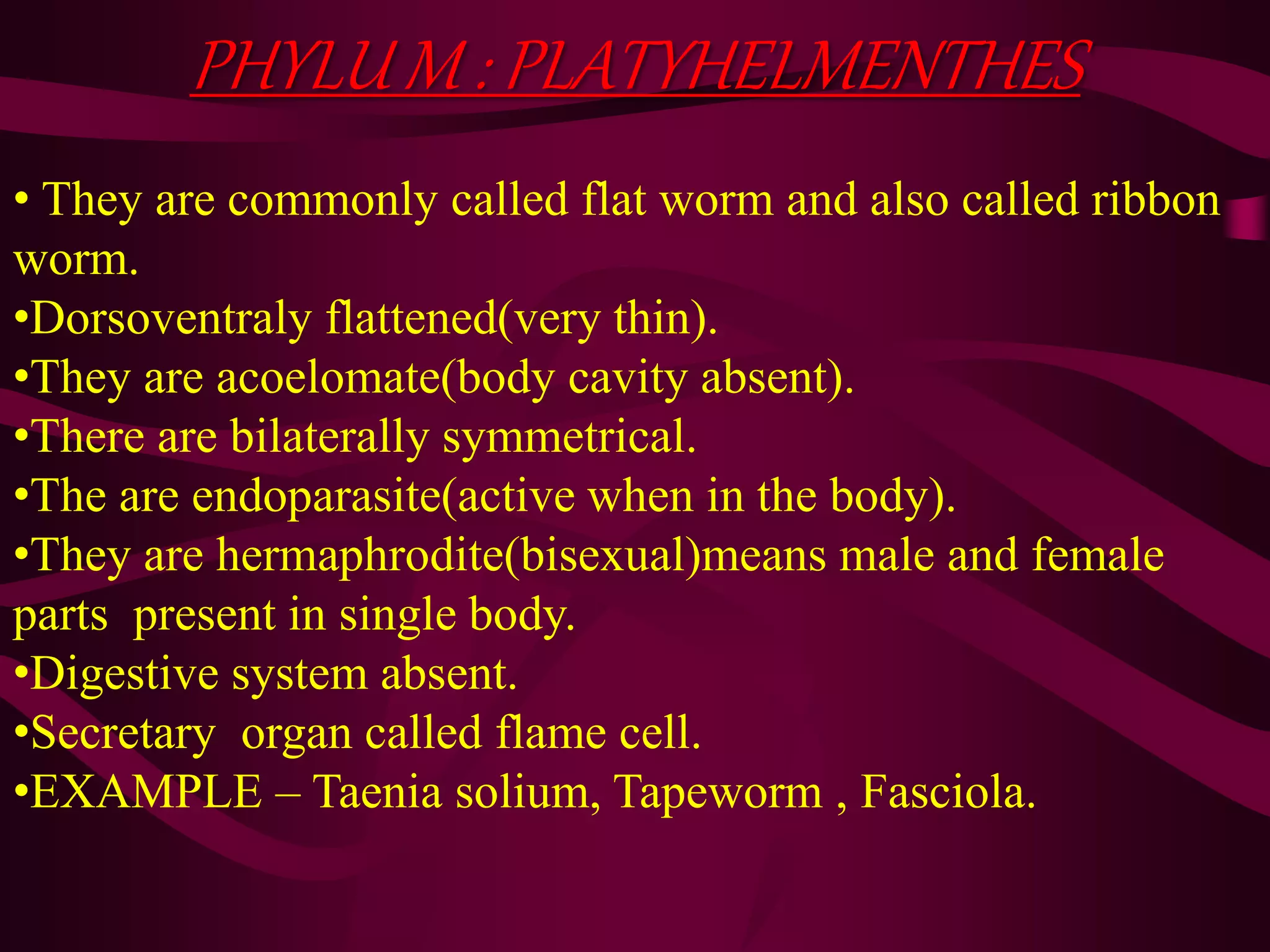 Diversity in living organisms ppt | PPTX