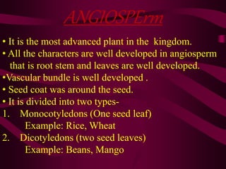 Diversity in living organisms ppt | PPTX