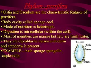 Diversity in living organisms ppt | PPTX