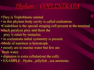 Diversity in living organisms ppt | PPTX