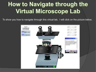 Lesson Presentation | PPTX | Biological Sciences | Science
