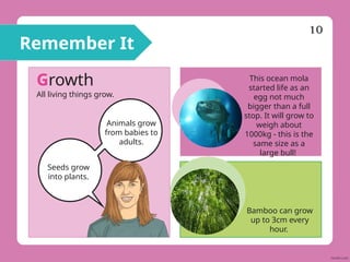 Lesson Presentation Grouping Living and Non-Living Things Original.pptx