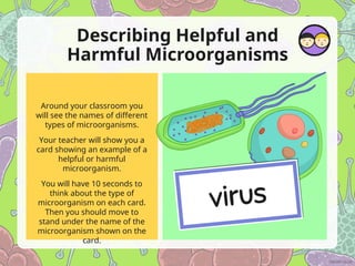 Lesson Presentation Microorganisms and its functionsppt | PPT