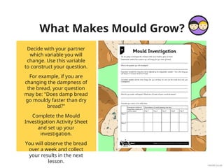 Lesson Presentation Microorganisms and its functionsppt | PPT