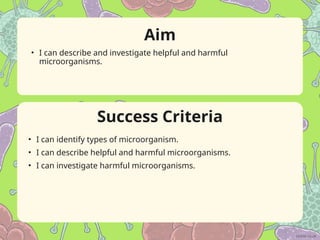 Lesson Presentation Microorganisms and its functionsppt | PPT