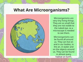 Lesson Presentation Microorganisms and its functionsppt | PPT