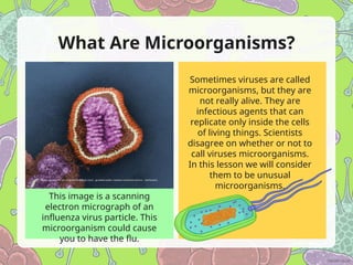 Lesson Presentation Microorganisms and its functionsppt | PPT