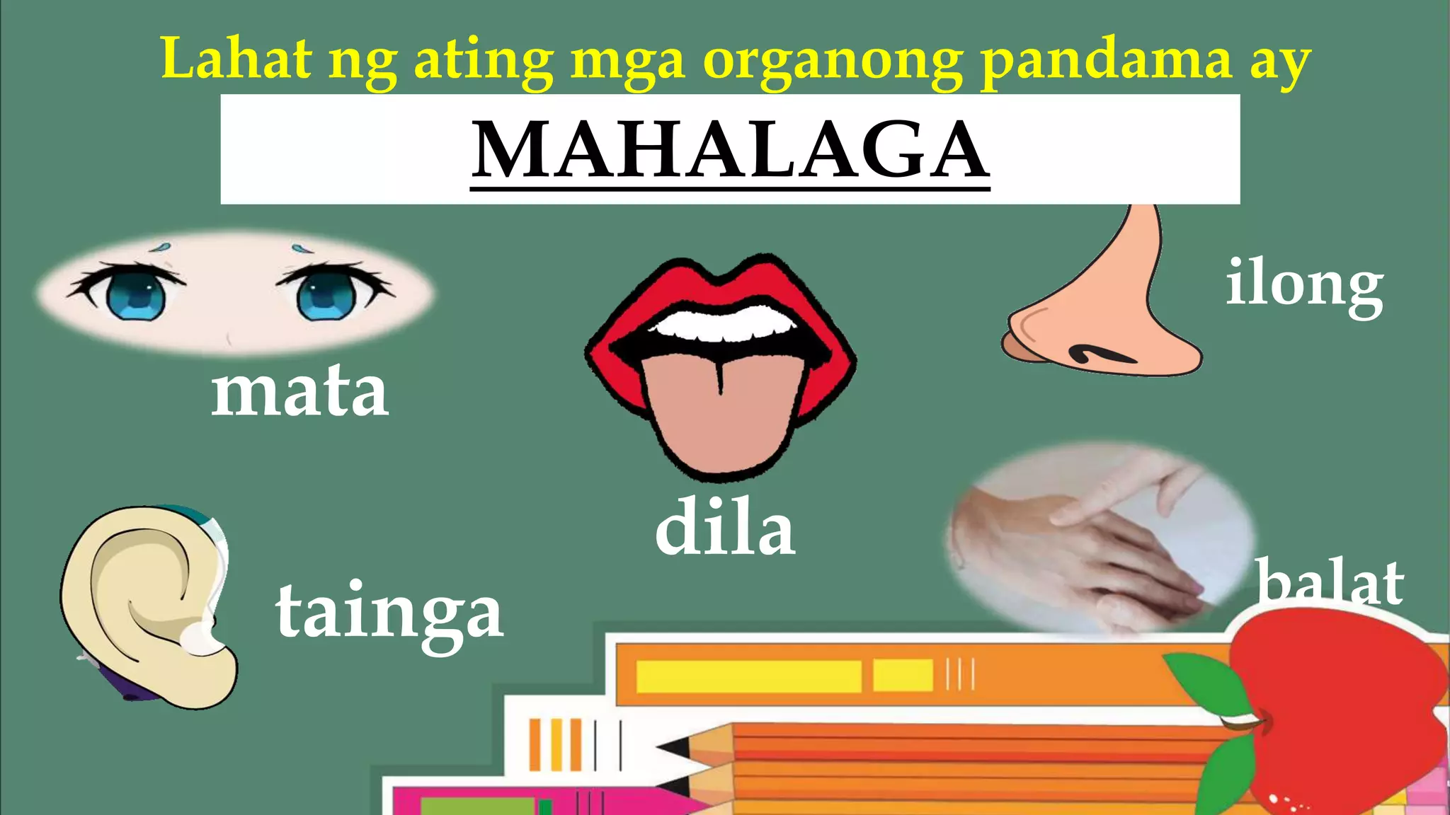 lesson presentation on sense organ.pptx