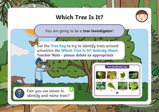 Lesson Presentation Terrific Trees.pptx