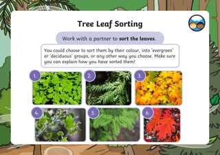 Lesson Presentation Terrific Trees.pptx