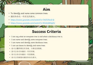 Lesson Presentation Terrific Trees.pptx