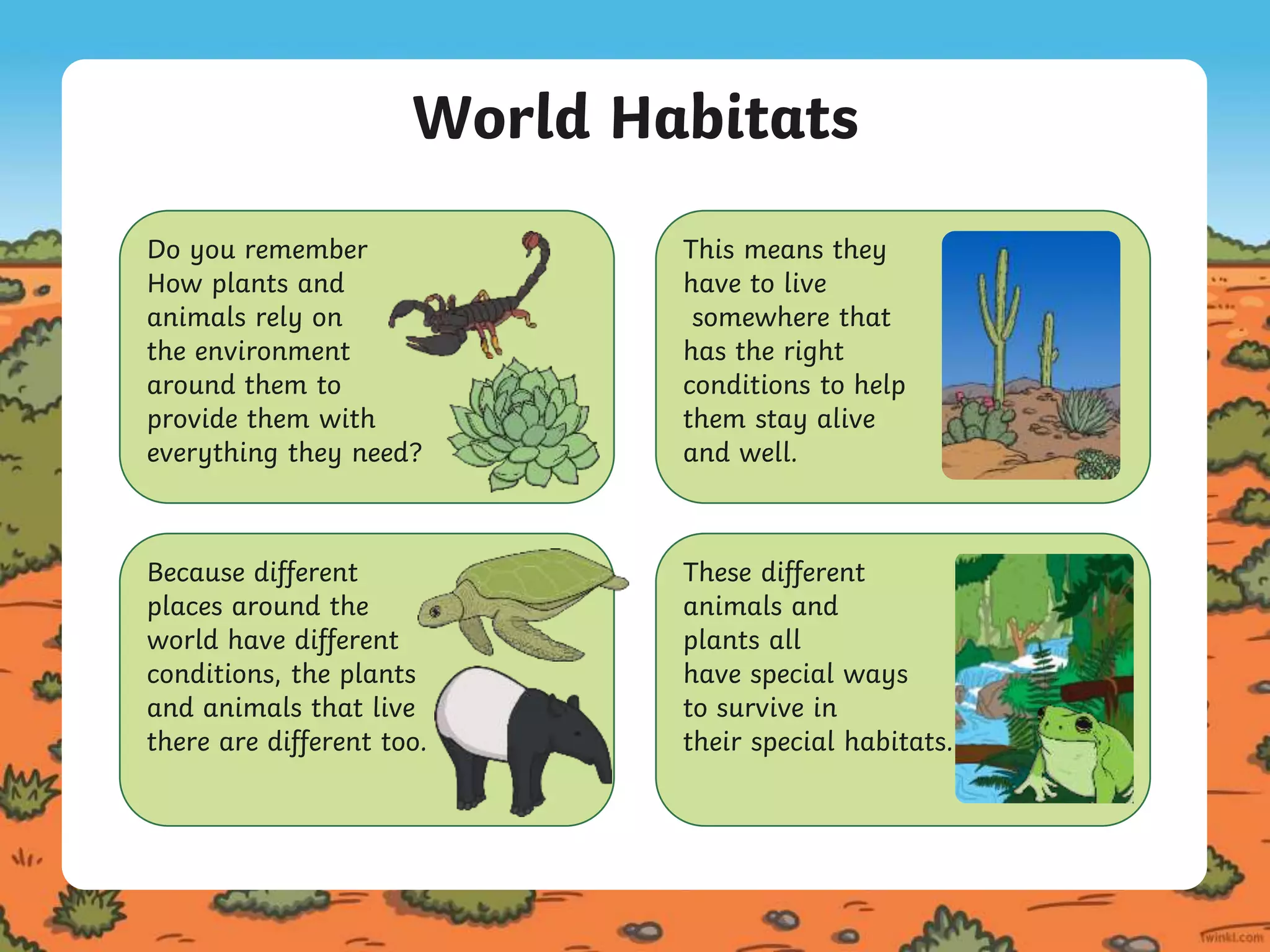 World Habitats | PPTX