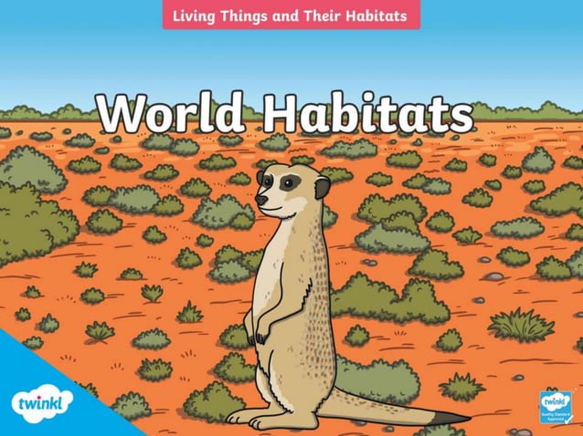 World Habitats | PPT