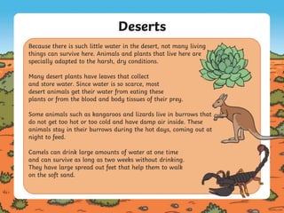 World Habitats | PPTX