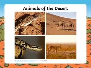 World Habitats | PPTX