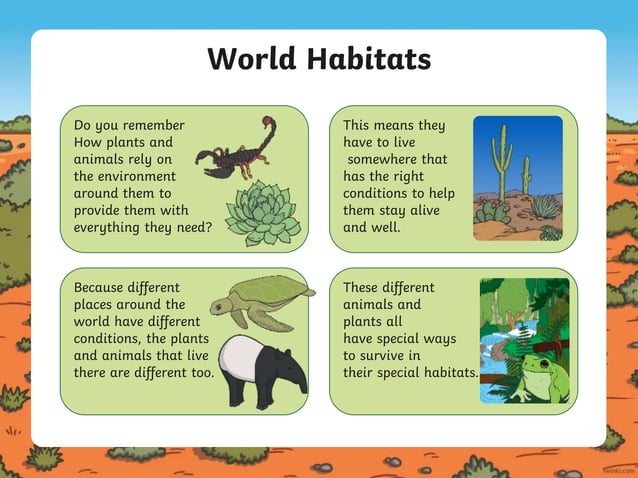 World Habitats | PPT