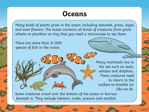 World Habitats | PPT