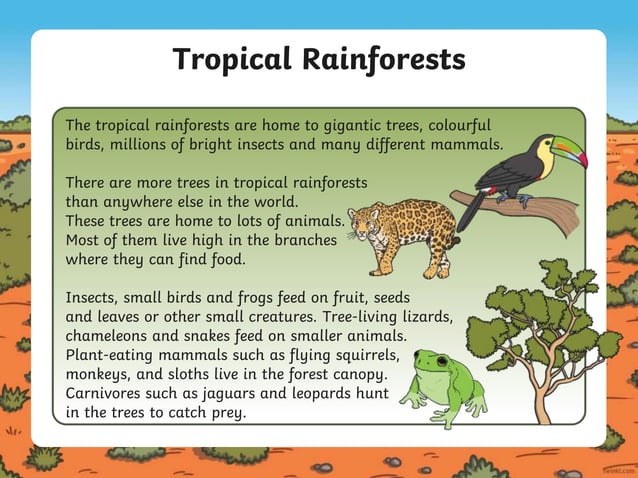 World Habitats | PPT