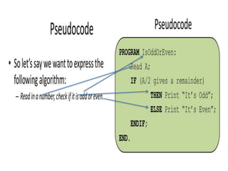 Lesson pseudocode | PPTX | Computing | Technology & Computing