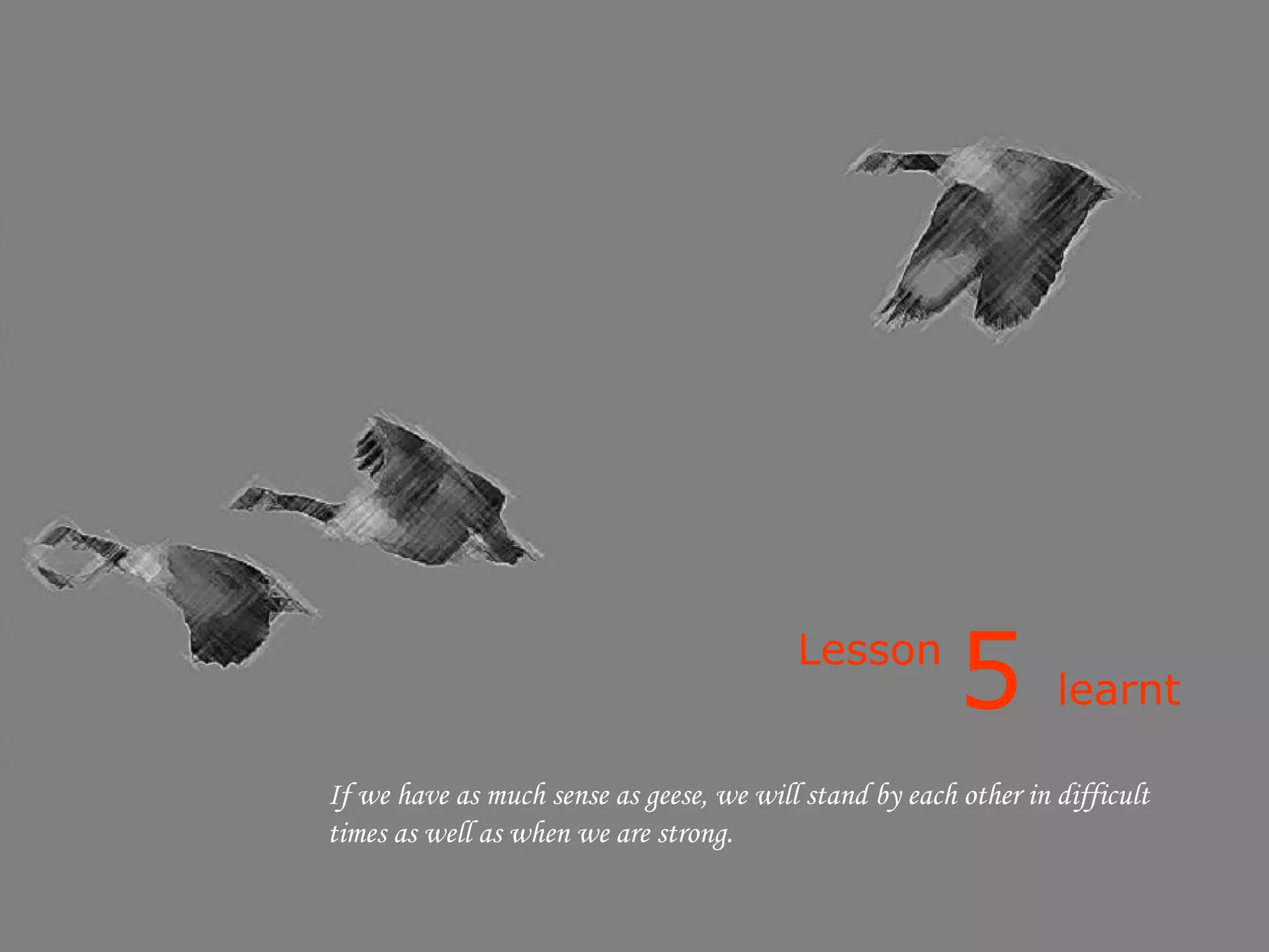 Lessons From Geese | PPS