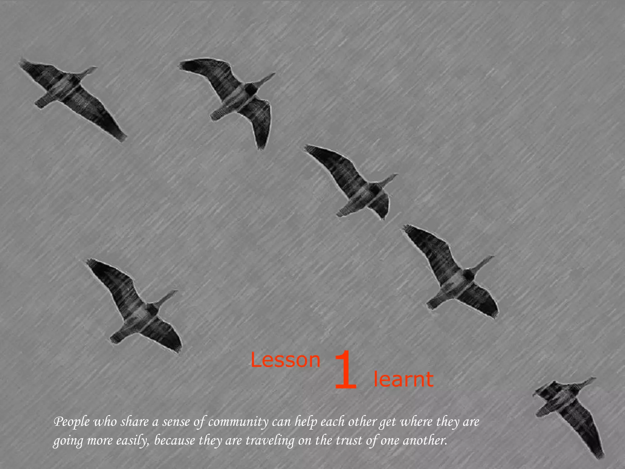 Lessons From Geese | PPS