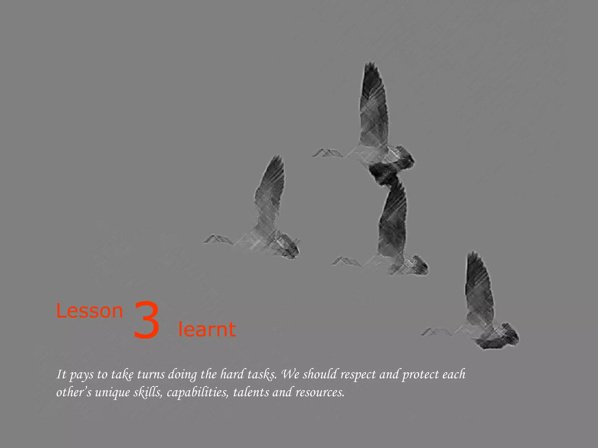 Lessons From Geese | PPS