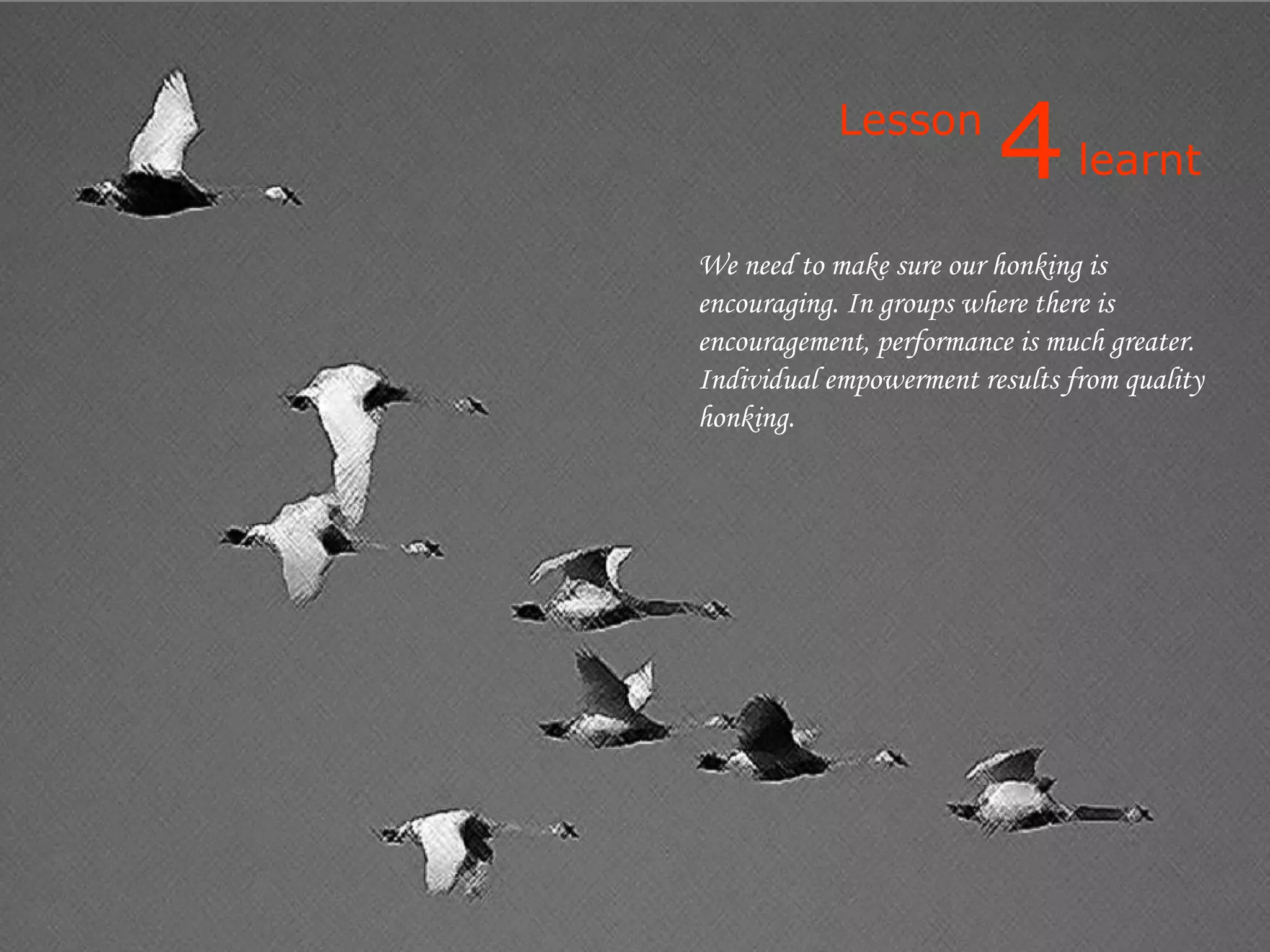 Lessons From Geese | PPS