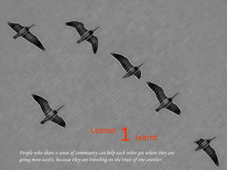 Lessons From Geese | PPS
