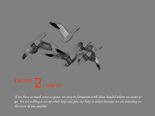 Lessons From Geese | PPS