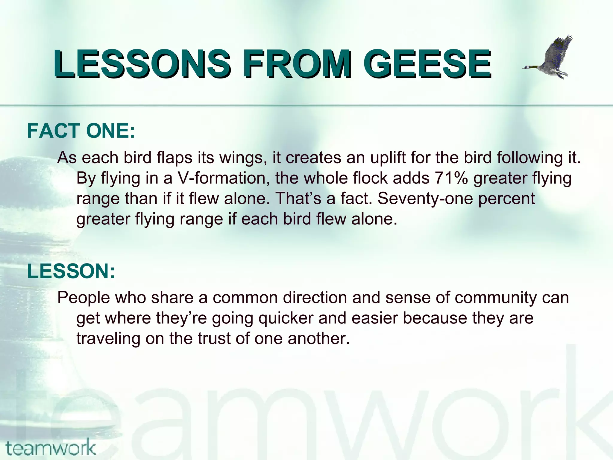 Lessons From Geese | PPS