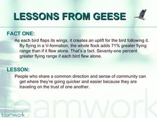 Lessons From Geese | PPS