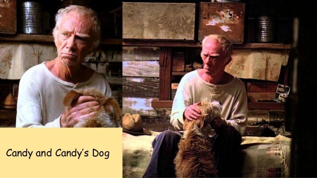 Lesson Seven - Of Mice and Men - Creativity