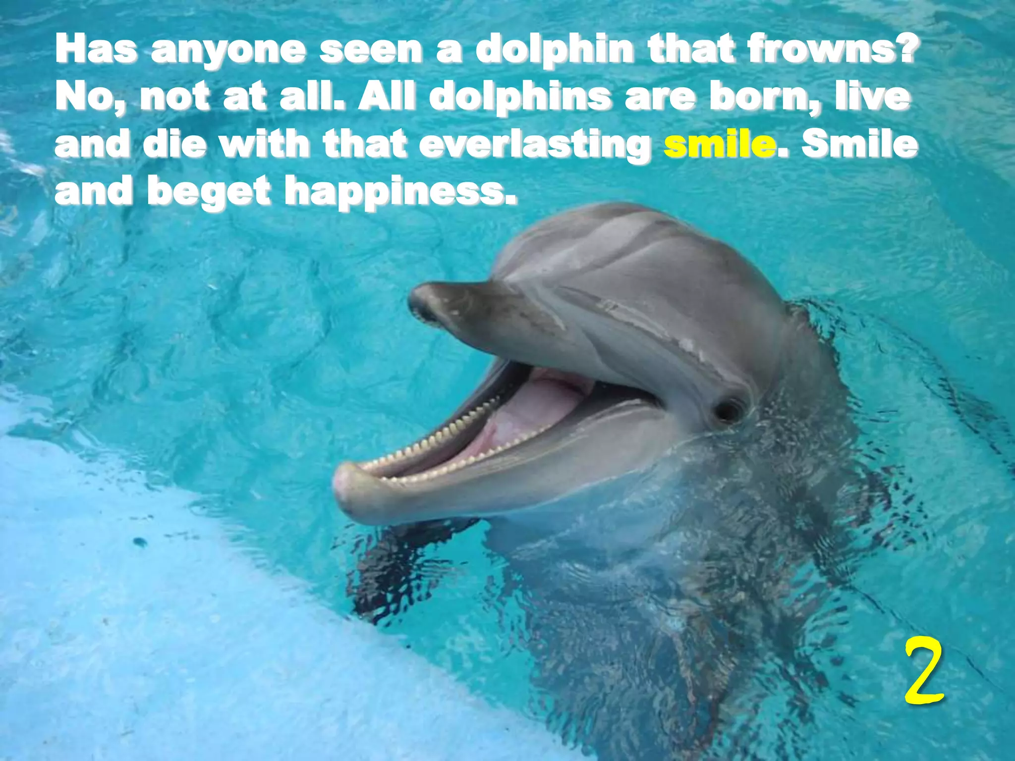 Lessons from dolphin | PPT