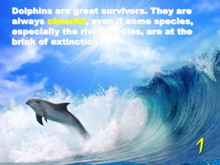 Lessons from dolphin | PPSX