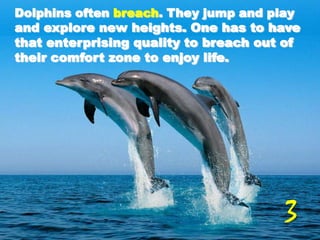 Lessons from dolphin | PPSX