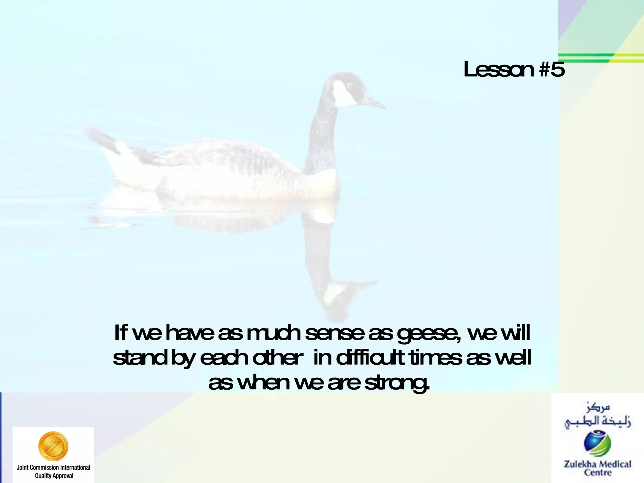 Lessons from Geese | PPT