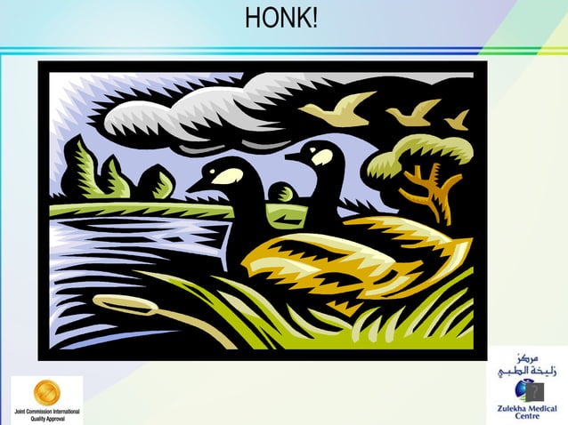 Lessons from Geese | PPT | Birdwatching | Hobbies & Interests